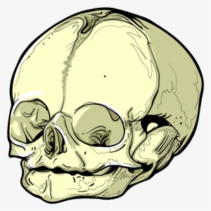 Skull Art Sticker Pack Messages Sticker-4 - Skull PNG Image ...
