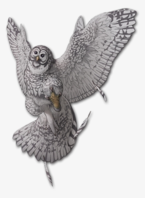 Snowy Owl Png PNG Image | Transparent PNG Free Download on SeekPNG