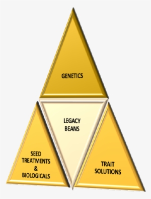 The Most Important Step To Maximizing Your Return On - Triangle PNG ...