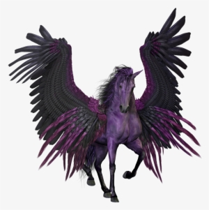 Pegasus, Flying, Winged, Horse, Pony, Myth - Real Horse Unicorn With ...
