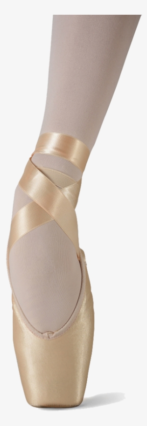 Pointe Shoe PNG Image | Transparent PNG Free Download on SeekPNG
