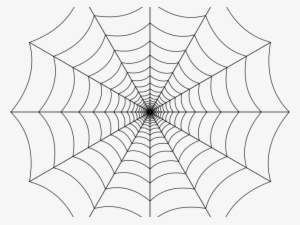 Pattern Clipart Spider Web - Transparent Background Spider Web Png PNG ...