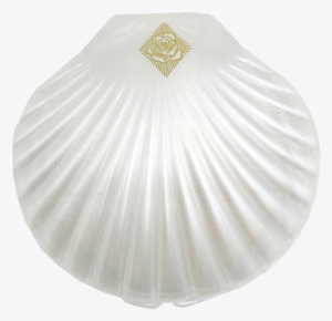 Seashell Compact Mirror - Seashell PNG Image | Transparent PNG Free ...
