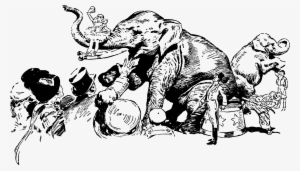 Download Elephantidae Circus Drawing Clown - Circusdrawing ...