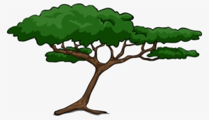 Acacia Tree Vector - African Trees PNG Image | Transparent PNG Free ...