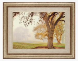 Oak Grove - Home Decorators Oak Grove Wall Art PNG Image | Transparent ...