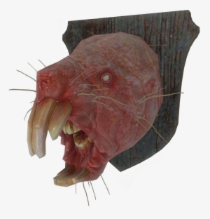 Fo4 Mounted Mole Rat Head - Fallout 4 PNG Image | Transparent PNG Free ...