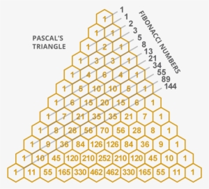 Leonardo Fibonacci Popularized These Numbers In His - Pascals Triangle ...