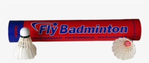 Fly Center - Badminton PNG Image | Transparent PNG Free Download on SeekPNG