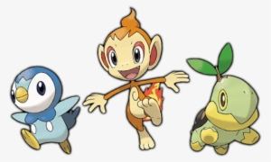 Startersplatino13jun08 - Pokemon Sinnoh Starters PNG Image ...