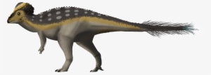 Pachycephalosaurus V5 Transparent - Pachycephalosaurus Feathers PNG ...