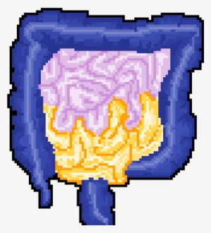Intestines - Large Intestine PNG Image | Transparent PNG Free Download ...