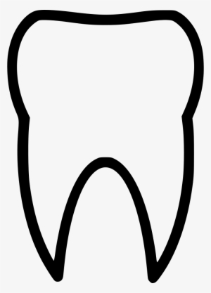 Human Tooth PNG Image | Transparent PNG Free Download on SeekPNG