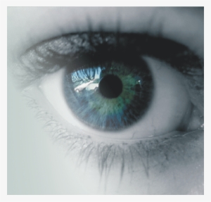 Https - //i2 - Wp - Com/www - Merlindesignbureau - - Olho Da Inveja ...