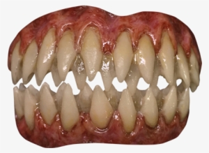 Dentures PNG Image | Transparent PNG Free Download on SeekPNG