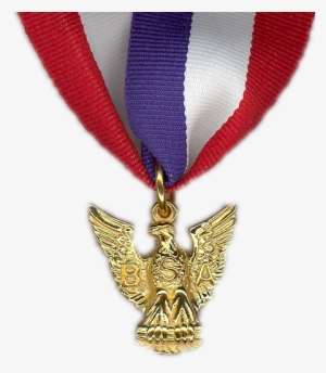 Distinguished Eagle Scout Award PNG Image | Transparent PNG Free Download on SeekPNG