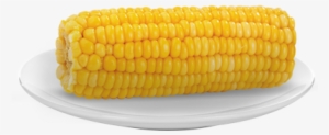 Elote - Corn Kernels PNG Image | Transparent PNG Free Download on SeekPNG