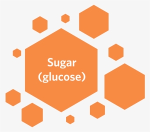 Glucose Png PNG Image | Transparent PNG Free Download on SeekPNG