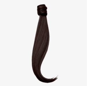 Brown Ponytail Png PNG Image | Transparent PNG Free Download on SeekPNG
