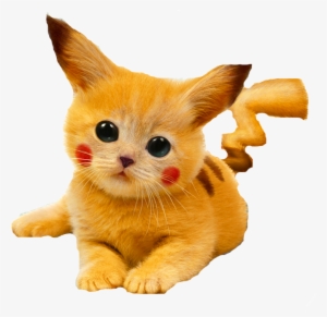 File Pokemon - Pretty And Cute Animals PNG Image | Transparent PNG Free ...