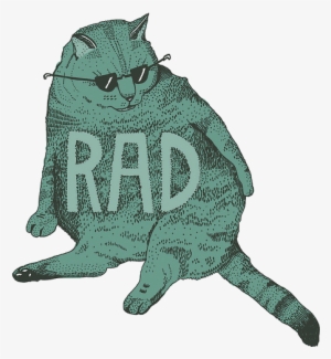 Rad Cat PNG Image | Transparent PNG Free Download on SeekPNG