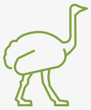 Emu - Vector Graphics PNG Image | Transparent PNG Free Download on SeekPNG