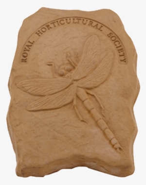 Endangered Species PNG Image | Transparent PNG Free Download on SeekPNG