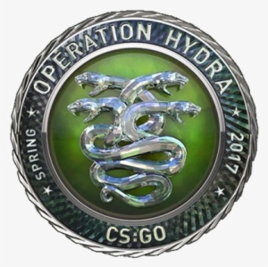 Last Matches - Hydra Coin Csgo PNG Image | Transparent PNG Free ...