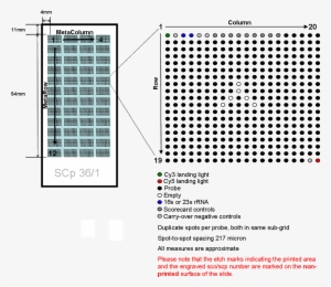 Pier Png PNG Image | Transparent PNG Free Download on SeekPNG