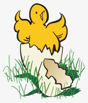 Baby Chick Hatching Clip Art - Hatch Clipart PNG Image | Transparent ...