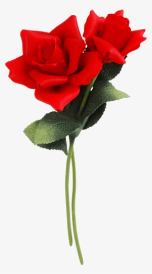 Two Roses Vector - Black And White Rose Icon PNG Image | Transparent ...