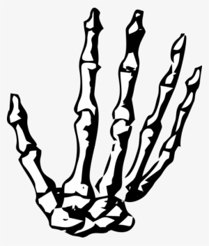 Transparent Skeleton Hand Do Not Re-post Or Remove - Hand Skeleton ...