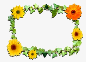 Sunflower Frames PNG Image | Transparent PNG Free Download on SeekPNG