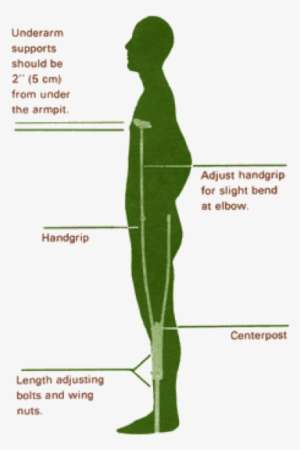 Description - Http - //kidshealth - Schn - Health - - Diagram PNG Image ...