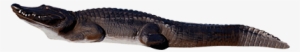 Alligator 3d Archery Target - Alligators PNG Image | Transparent PNG ...