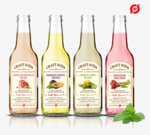 Craft Soda 100% Organic Soft Drink - Craft Soft Drinks PNG Image ...