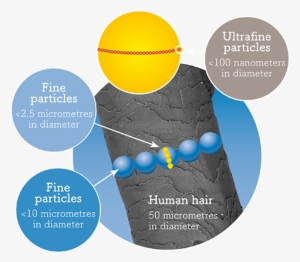 Fine Particles - Ultrafine Particles PNG Image | Transparent PNG Free ...