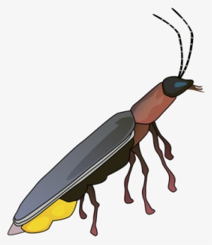 Firefly Illustration Of Firefly - Lightning Bug Clipart PNG Image ...