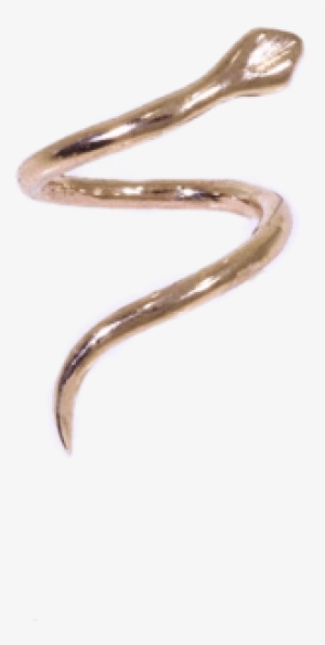 9ct Helix Snake - Slender Blind Snake PNG Image | Transparent PNG Free ...