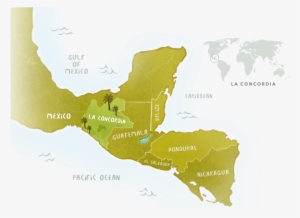 Coffee Notes Flavor Description Bright Lemon Citrus - World Map PNG ...