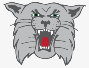 Wildcat Gray Primary - Canton South Wildcats Png PNG Image ...