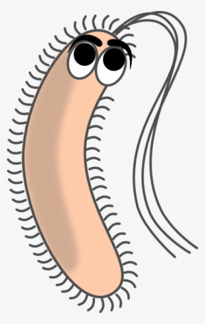 How To Set Use Modified Funny Bacteria Svg Vector PNG Image ...