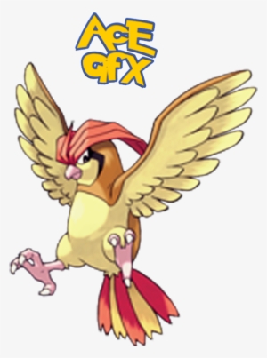 Photo Pidgeotto - Pokemon Pidgeotto PNG Image | Transparent PNG Free ...