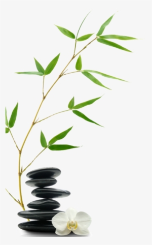 Instrumentals / Instrumentals - Let It Be - Music Guitar PNG Image ...