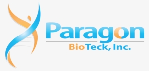 Paragon Logo Png PNG Image | Transparent PNG Free Download on SeekPNG