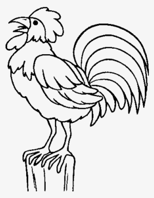 Pico De Gallo PNG Image | Transparent PNG Free Download on SeekPNG