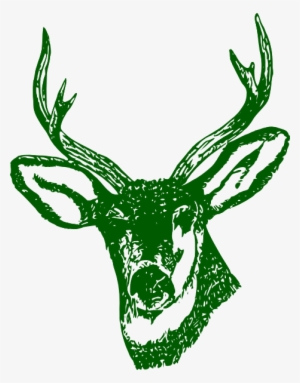 How To Set Use Green Stag Head Clipart - Green Deer Png PNG Image ...