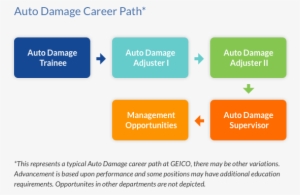 Auto Damage Career Path - Customer Service Representative Career Ladder ...