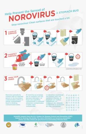 Norovirus Prevention Poster - Disinfectants PNG Image | Transparent PNG ...
