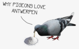 Capnellene Drugs - Diagram PNG Image | Transparent PNG Free Download on ...